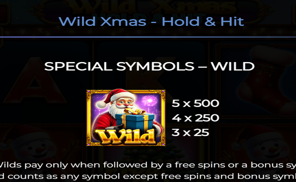 Play Wild Xmas Hold and Hit by Spinomenal - Free Demo